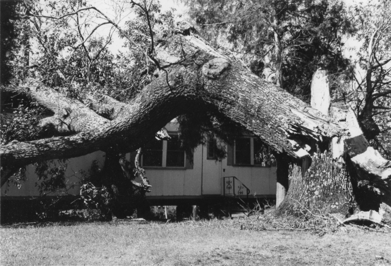 How Howling Hugo Became the Western Piedmont’s Worst Hurricane - North ...