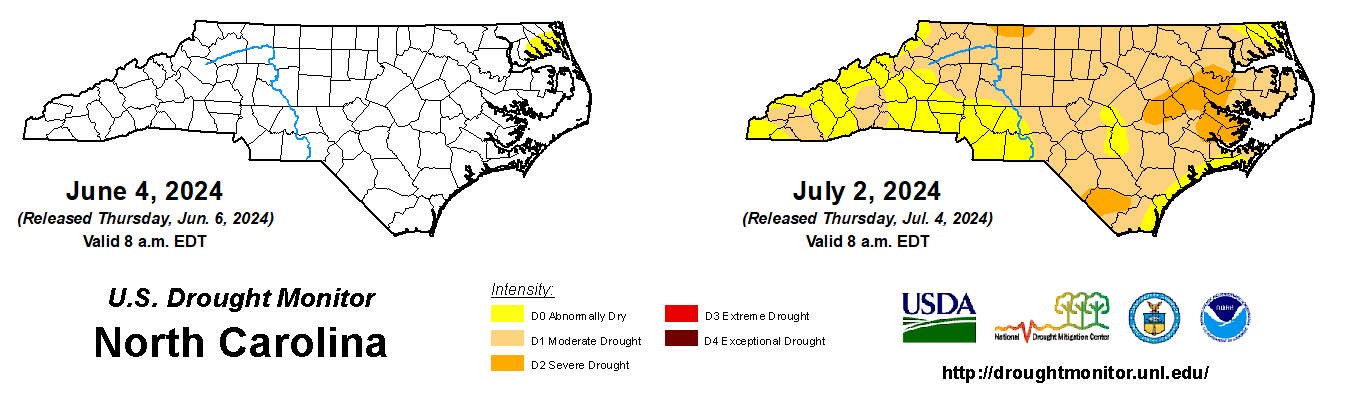 A Record Dry June Accelerates Drought’s Arrival | North Carolina State ...